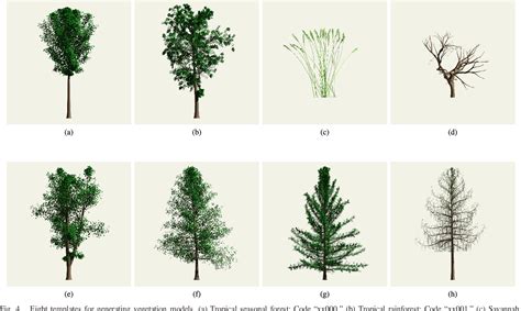 Figure 1 From Allometric Vegetation Modeling And Sar Image Simulation For Polarimetry And