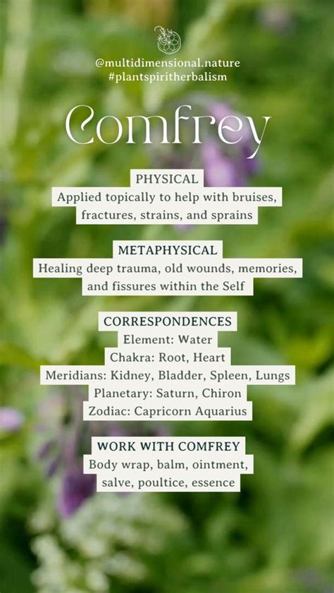 Multidimensional Nature With Sara Artemisia Multidimensionalnature