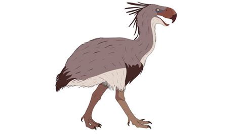 Sylveon2001 User Profile Deviantart