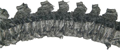 Back Side Of The Chip Produced At A Cutting Speed Of M Min And A Download Scientific