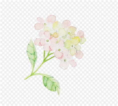 手绘小花png图片素材下载图片编号10685255 Png素材网 手绘小花png图片素材下载图片编号10685255 Png素材网