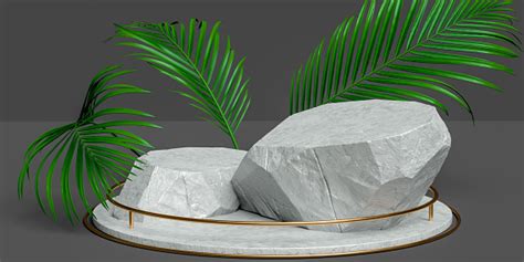 돌 연단 제품 디스플레이 배경 돌과 야자수 잎 정물 구성 3d 그림 0명에 대한 스톡 사진 및 기타 이미지 0명 개념 거친 Istock