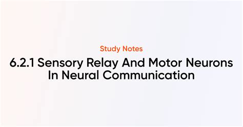 Resources Platform Tutorchase