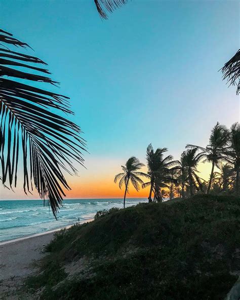 Ppdt Prettypicsdelightfultips