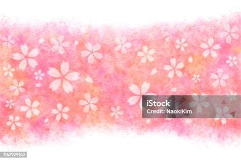 천연 수채화 핸드 페인트 배경 벡터 일러스트에 일본 의 새해 핑크 벚꽃 추상 그런지 이미지 기법에 대한 스톡 벡터 아트 및 기타