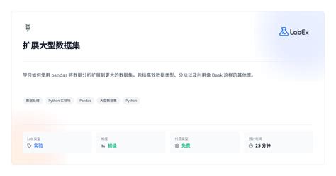 使用 pandas 扩展大型数据集 labex
