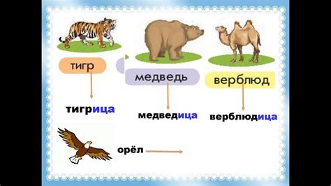 Букварь урок 83 Слова с буквой Ц ц 14 12 2023 Youtube