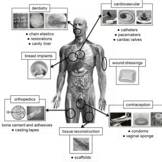 Chemical Structure Of The Urethane Group Download Scientific Diagram
