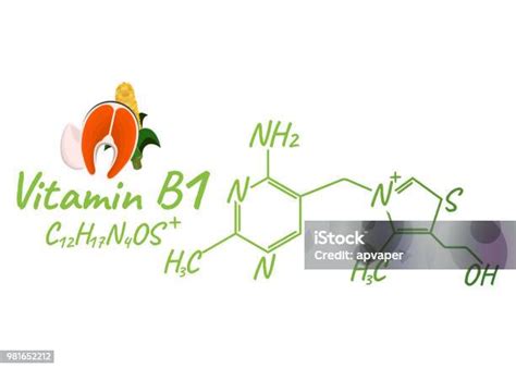 비타민 B1 식품 라벨 및 아이콘입니다 화학 공식 그리고 구조 로고입니다 벡터 일러스트 레이 션 0명에 대한 스톡 벡터 아트 및 기타 이미지 Istock