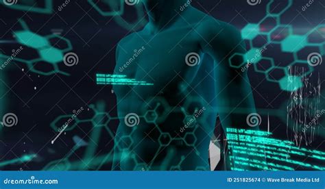 Animation Of Dna Strand Scientific Data Processing And Human Body Stock Footage Video Of