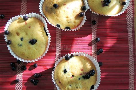 Blueberry Muffins Stock Image Image Of Frosting Delicious 73912073