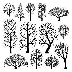 Set Of Side View Trees Royalty Free Vector Image