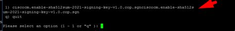 Solved Issue With Ciscocm Enable Sha512sum 2021 Signing Key P Sgn Inst Cisco Community