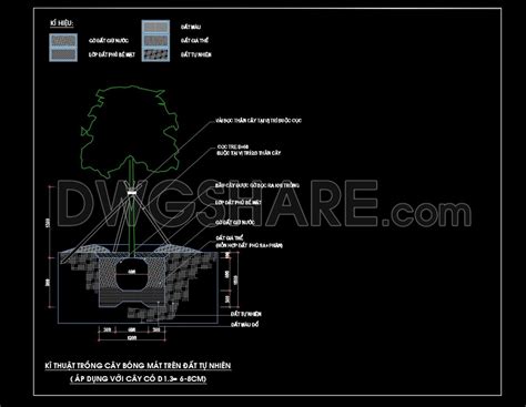 Autocad Drawings Of Technical Drawings For Urban Tree Planting For Download