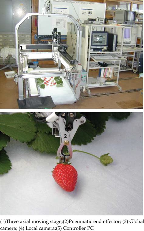 Image Of Strawberry Harvesting Robot Download Scientific Diagram
