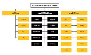 Levels Of Army Chain Of Command Structure