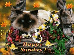 Good Sunday Morning S Download And Share