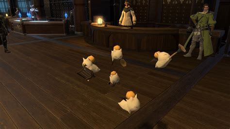 Primogs Minion Still Working 9 7 21 R Ffxiv