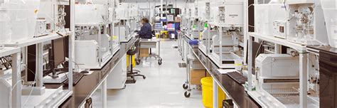 Oligonucleotide Synthesis Key Takeaways For Post Synthesis Processing