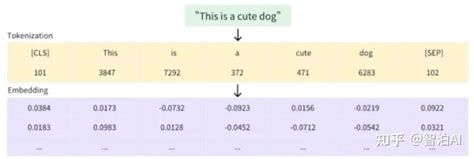 Ai大模型中bert的embedding到底是个什么？看完小白也懂了！ 知乎