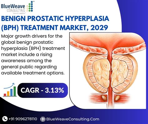 The Rise In Benign Prostatic Hyperplasia Prevalence And The Expanding Worldwide Male Geriatric