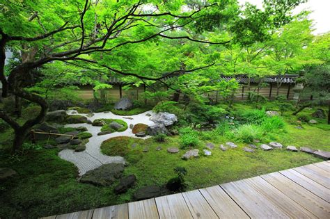 新緑 永観堂 方丈南庭 京都 鮮やか 日本庭園 和モダン 庭園 こけ庭