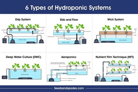 Hydroponic Systems Can Seem Confusing But They All Operate On Similar