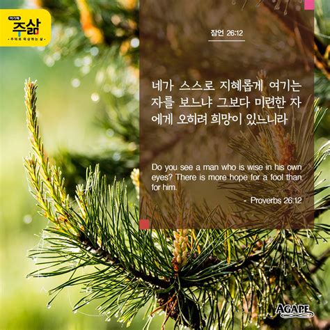 아가페 게으른 자의 모습 잠언 2610 19 미련한 자를 고용하는 것은 어리석은 일이며 미련한 자는 죄를 반복해서 짓는다 스스로 지혜롭게 여기는 자는 희망이 없다