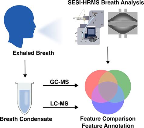 Comparative Analysis Of Feature Annotation Methods For Sesi Hrms In Exhaled Breath Analysis