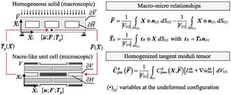 Examined Lead Enhanced Lightened Nacre Like Unit Cell And The Main