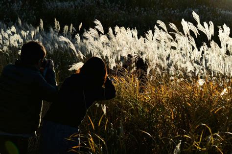 阿吽の呼吸 GANREF
