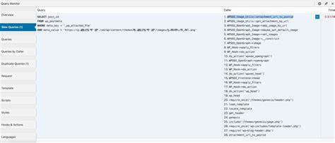 Query With Metavalue Slowing Down Database · Issue 10195 · Yoastwordpress Seo · Github