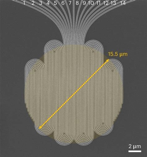 高密钥速率量子密钥分发系统成为可能—小柯机器人—科学网