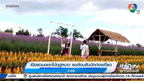 ข่าวเปิดสวนดอกไม้ฤดูหนาว รอต้อนรับนักท่องเที่ยว จ ตาก