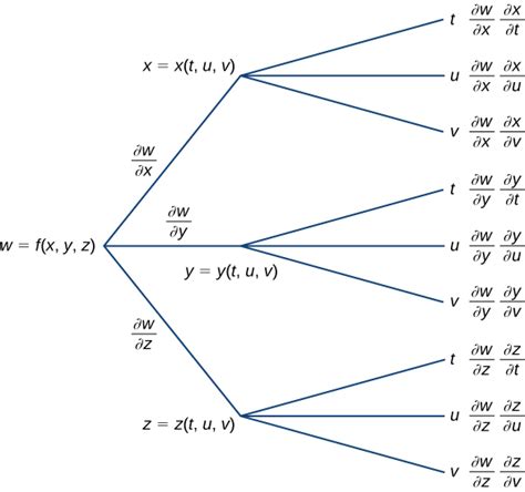 Chain Rule Calculus Iii