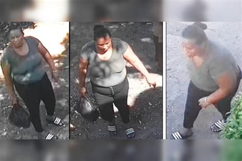 Palm Beach County Sheriffs Office Seeks Female Suspect In Lake Worth
