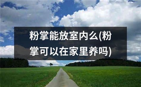 粉掌能放室内么 粉掌可以在家里养吗 养花经验
