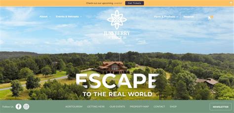 Web Development Company India Vivan Web Solution
