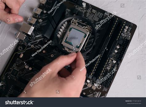 Engineer Plugging Cpu Microprocessor Motherboard Socket Stock Photo 1715012614 Shutterstock