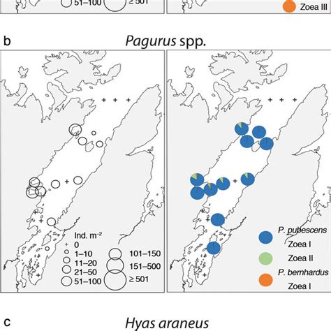 Spatial Patterns In Abundance Ind M −2 And Stage Composition Of