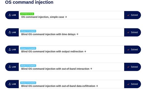 Learned Command Injection Vulnerability At Portswigger Labs Soman Sukale Posted On The Topic