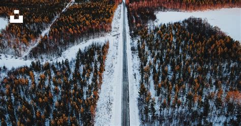 아스팔트 도로 얼음 표면과 푸른 소나무 사진 Unsplash의 무료 길 이미지