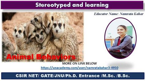 Cell Structure And Function Csir Ugc Net Unacademy