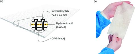 A Simplified Cross Section Schematic Of A Composite Device CMP Download Scientific