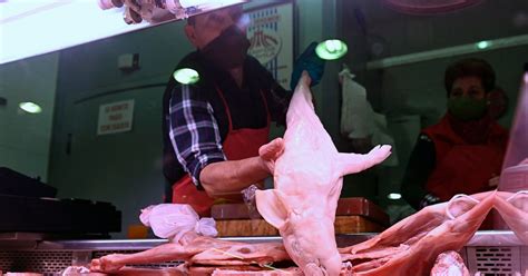 Virus De Nipah Gremio De Productores Revela Si Es Seguro Comer Carne