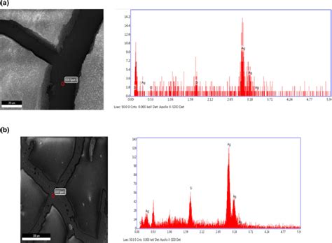 A Compositional Analysis Pre Etching Phase By Edax B Compositional