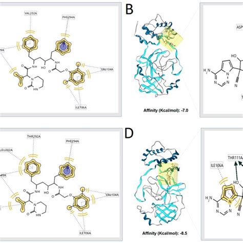 Flowchart For Selecting The Best Protein Ligand Complexes Source Own Download Scientific