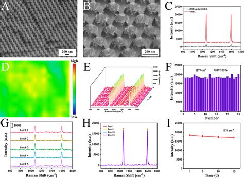 Aptamer Based Functionalized Sers Biosensor Ijn