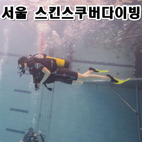 서울 잠실 스킨스쿠버다이빙 인기있는 취미 즐기기 네이버 블로그