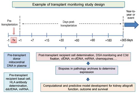 Ijms Free Full Text Monitoring Of Serological Cellular And Genomic Biomarkers In